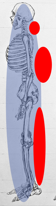 The Fifth Chakra and Restoring the Primary Curve – Sarasvati Flow