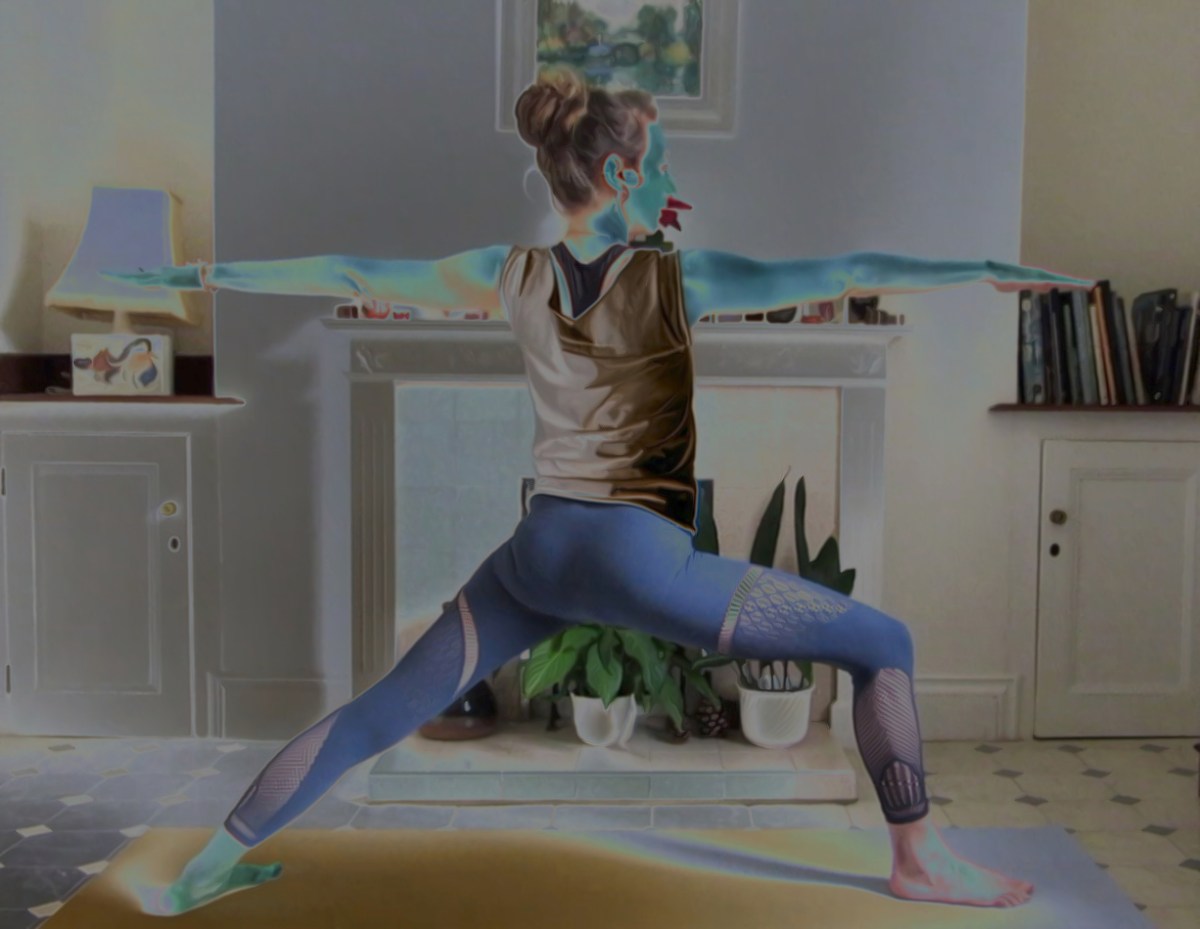 The Double Helix Reveals Itself – Sarasvati Flow